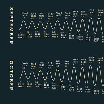 Design Your Own Custom Tide Poster – Tidelines