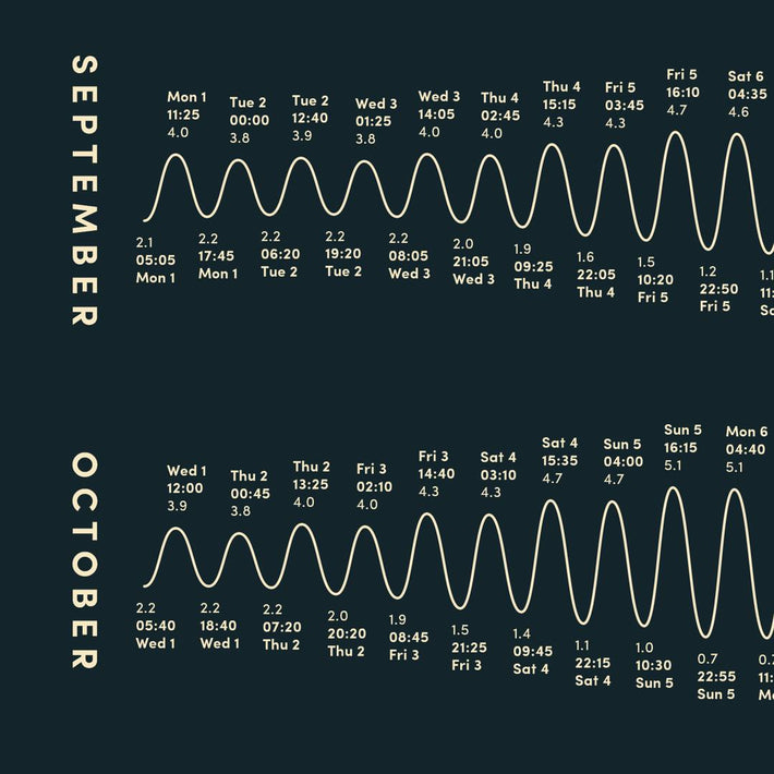 Custom Tide Posters – Tidelines