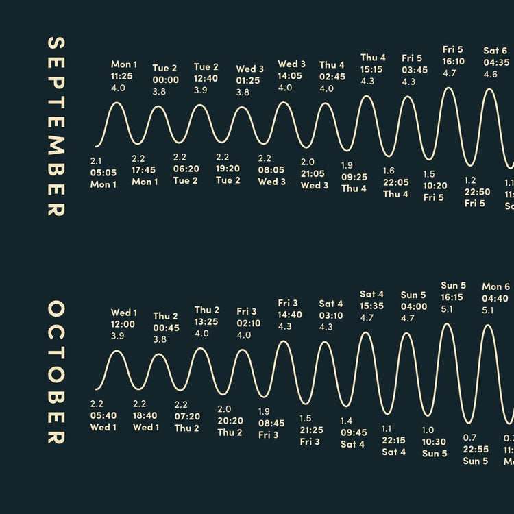 Design Your Own Custom Tide Poster – Tidelines