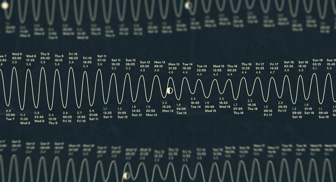 Design Your Own Custom Tide Poster – Tidelines