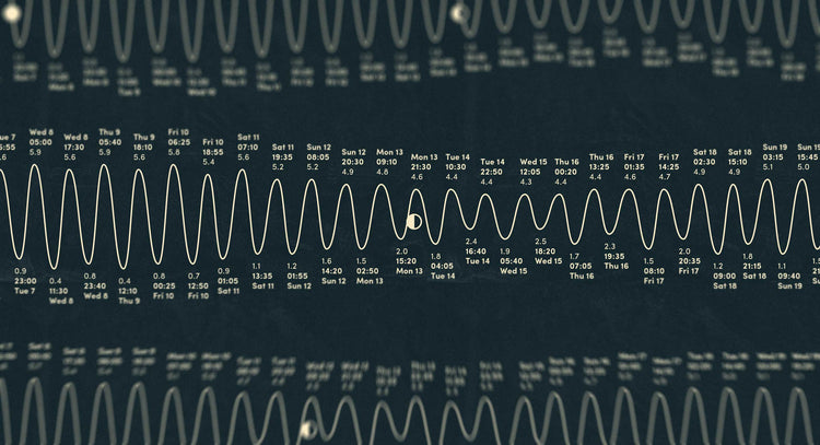 Design Your Own Custom Tide Poster – Tidelines